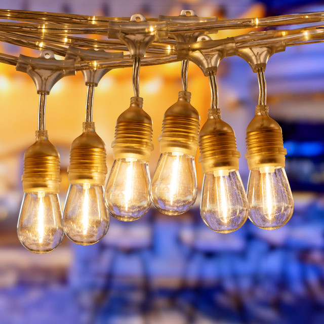 48" LED Outdoor String Light, Clear White IP65, 24 Bulbs 2700K Soft ...