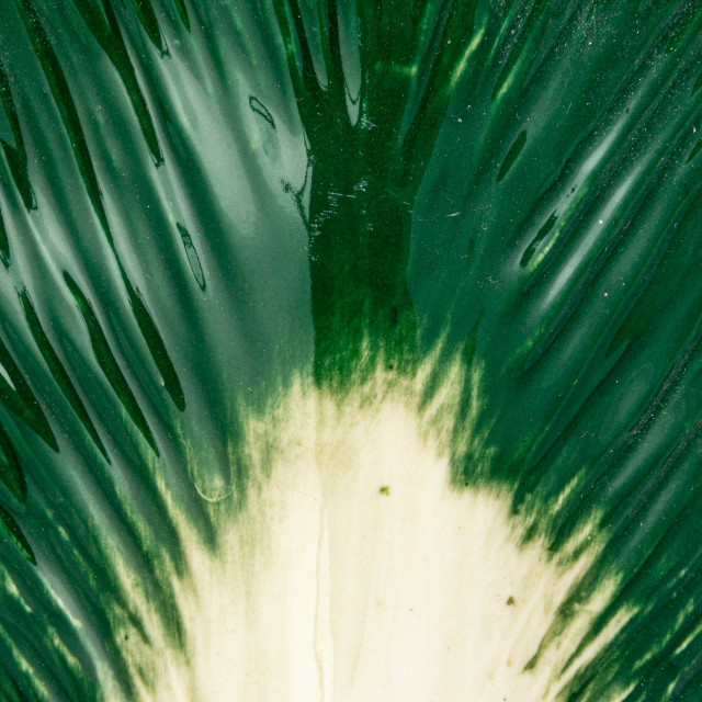 Embossed Stoneware Cabbage Shaped Wall Vase Planter, Green and White ...