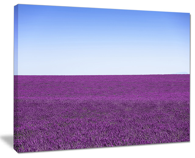 "Lavender Flowers With Blue Horizon" Landscape Wall Art Print, 20"x12 ...