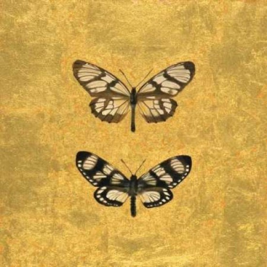"Pair of Butterflies on Gold" Print, 12 x 12 - Contemporary - Prints ...