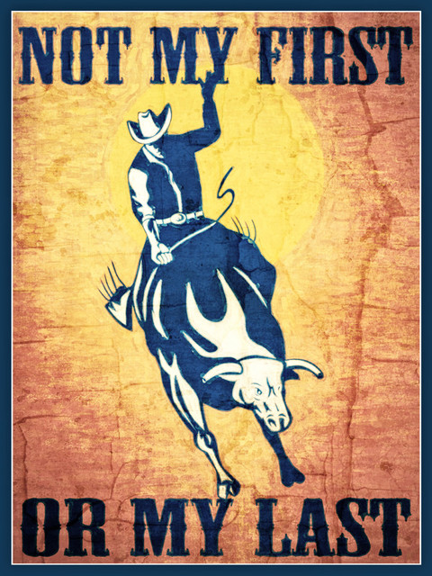 Not My First Rodeo, 24" H X 18" W, 24" H x 18" W x 1.5" D ...