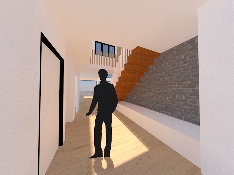 Entry Feature Wall Design Help! | Houzz AU