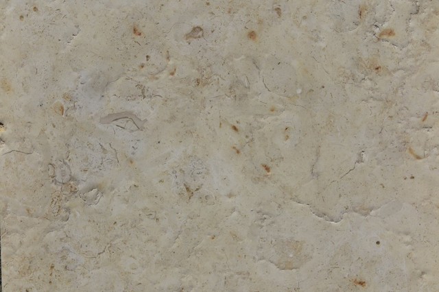 Jerusalem Gold Limestone Tiles, Brushed Finish, Sample - Traditional ...