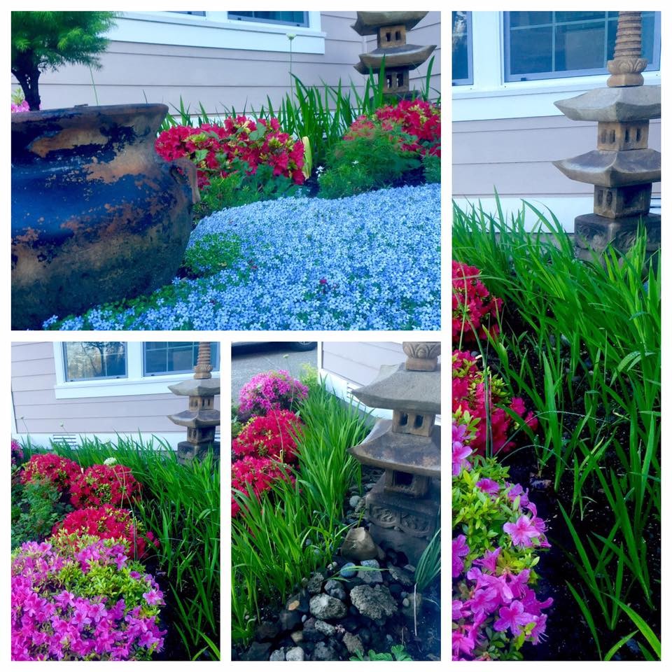 7 Ways to Design a Garden That Flows and Intrigues