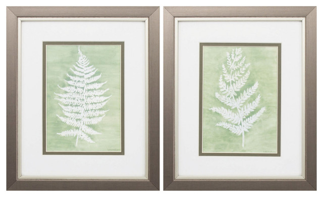 2-Piece Forest Ferns Set, 1315 - Tropical - Prints And Posters - by ...