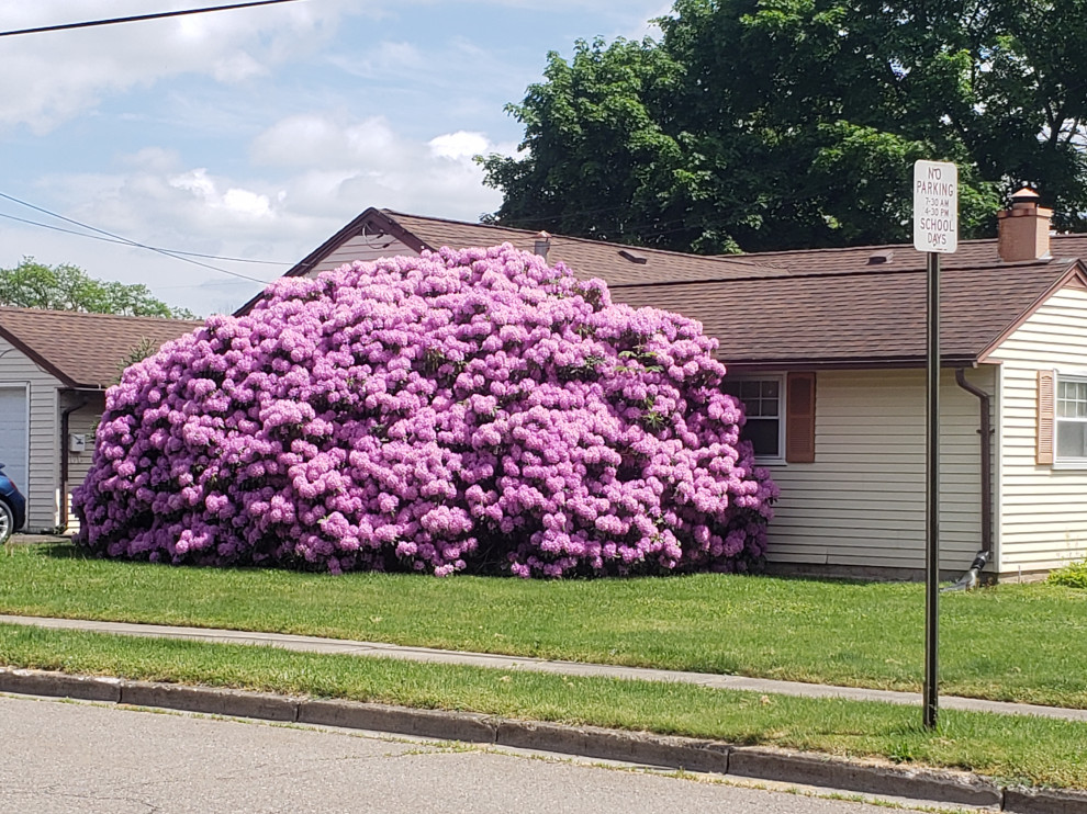 OT............Spring has surely sprung