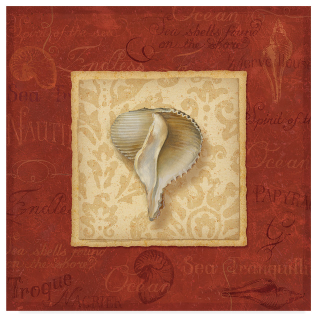 Lisa Audit 'Red Frame Shell IV' Canvas Art, 35"x35" - Beach Style ...