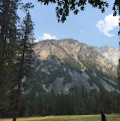 BIANCA BUILDS - Project Photos & Reviews - Los Angeles, CA US | Houzz