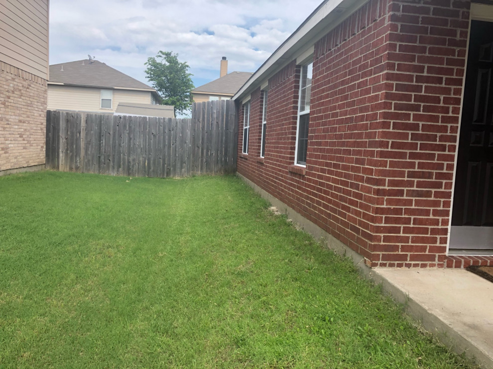what to plant to give privacy between houses?