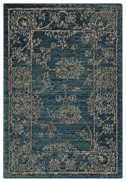 Nourison Nourison 2020 Teal Area Rug, 2'x3' - Traditional - Area Rugs ...
