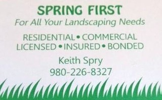 SPRING FIRST LANDSCAPING - Project Photos & Reviews - Charlotte, NC US ...