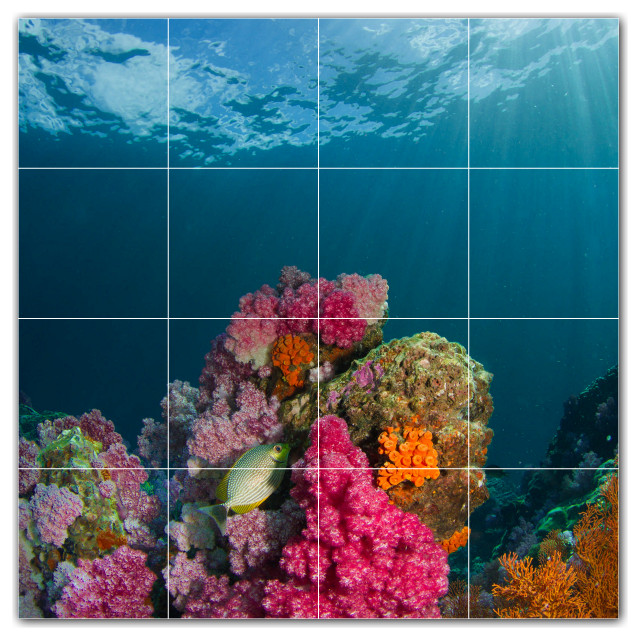 Coral Ceramic Tile Wall Mural HZ500404, 48" Wide x 48" High - Beach ...