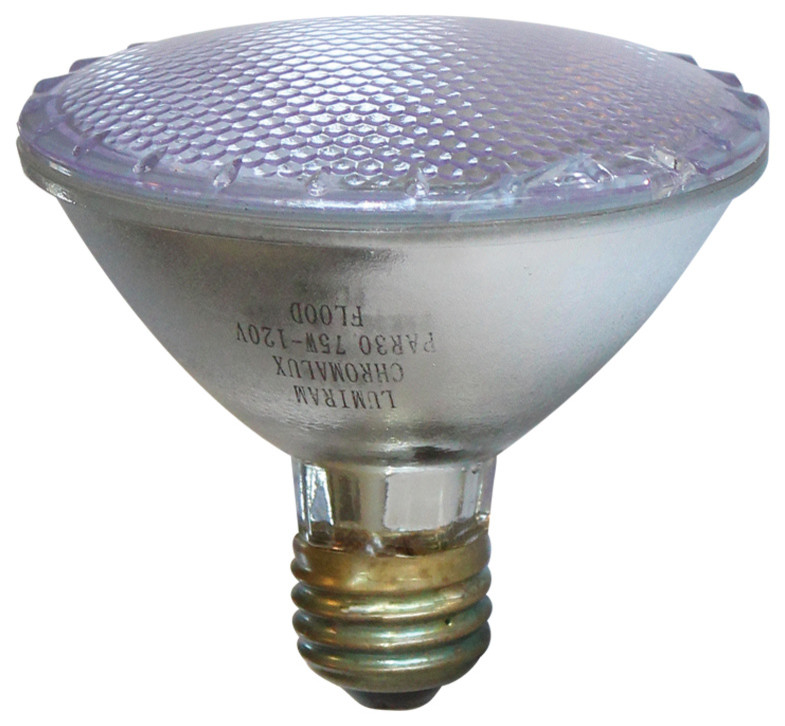 Chromalux Full Spectrum PAR30-75W Halogen Bulb - Traditional - Halogen ...