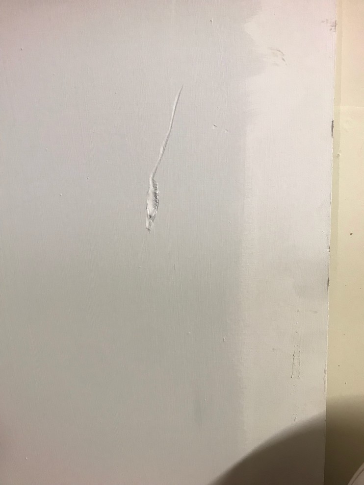 Lexicon 1/4 vs Lexicon Half | Houzz AU