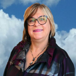 JANICE CONNOLLY INTERIORS - Project Photos & Reviews - Downers Grove ...