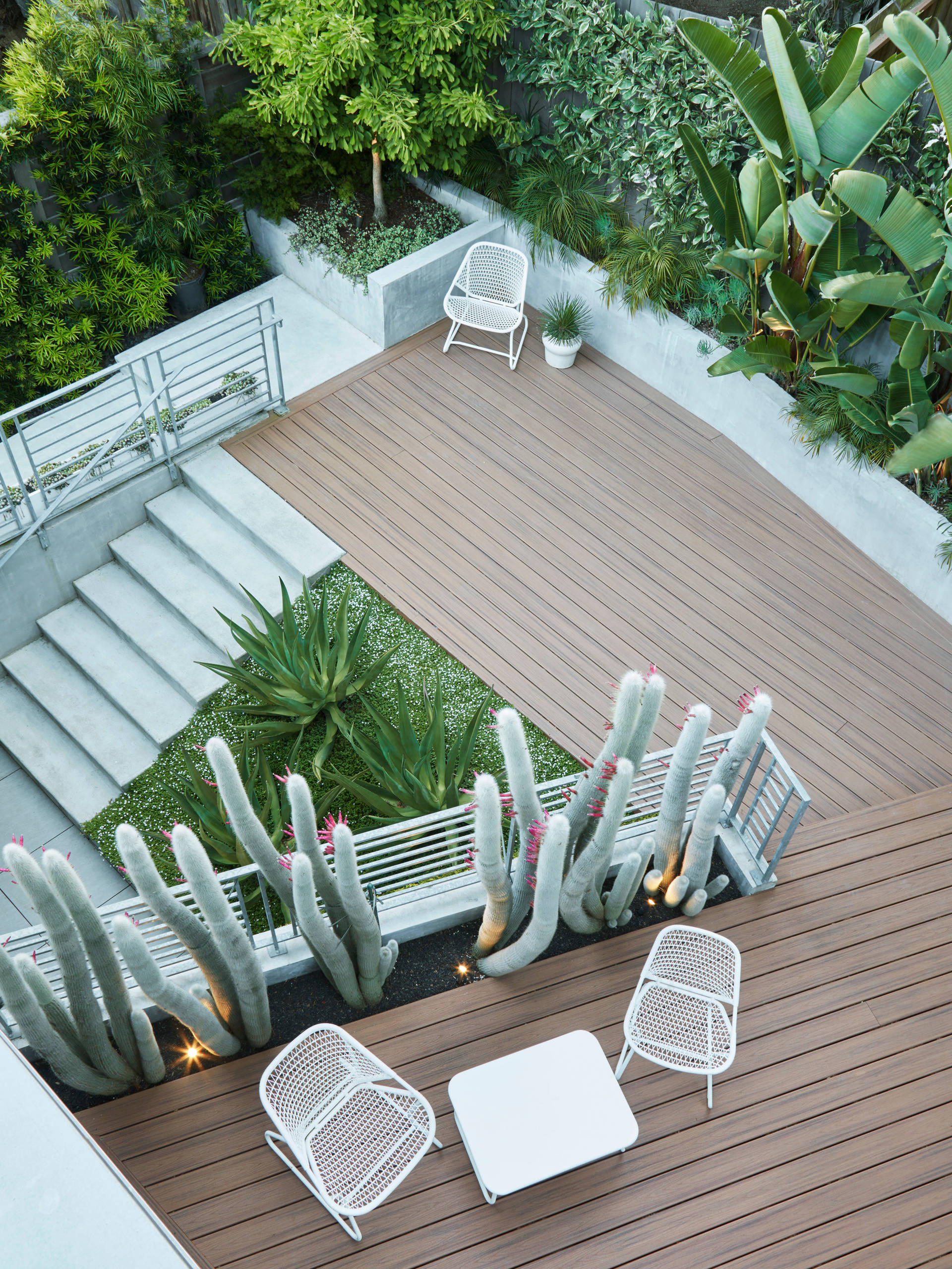 6 Bold and Beautiful Design Strategies for Low-Water Landscapes