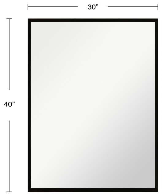 Black Aluminum Narrow Framed Mirror, 30x40 - Transitional - Bathroom ...