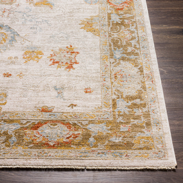 Surya Rug Co. - Avant Garde AVT-2309, 2'x3' - Mediterranean - Area Rugs ...