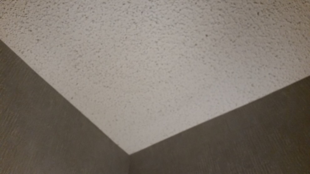 popcorn ceiling cover