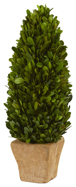 16" Boxwood Cone Preserved Plant, Planter - Modern - Artificial Plants ...