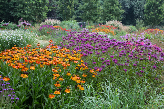 3 Sizzling Color Palettes for Summer Gardens
