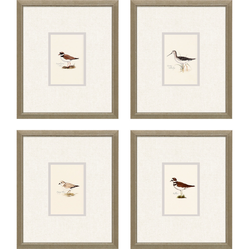 Shorebirds, 4-Piece Set Framed Art - Beach Style - Prints And Posters ...