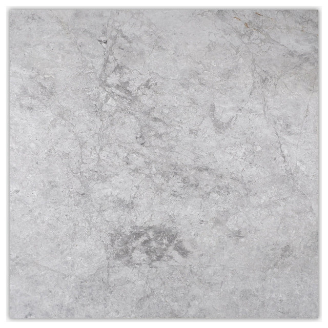 Silver Gray Light Honed 24x24 Marble Tile, 24x24 - Traditional - Wall ...