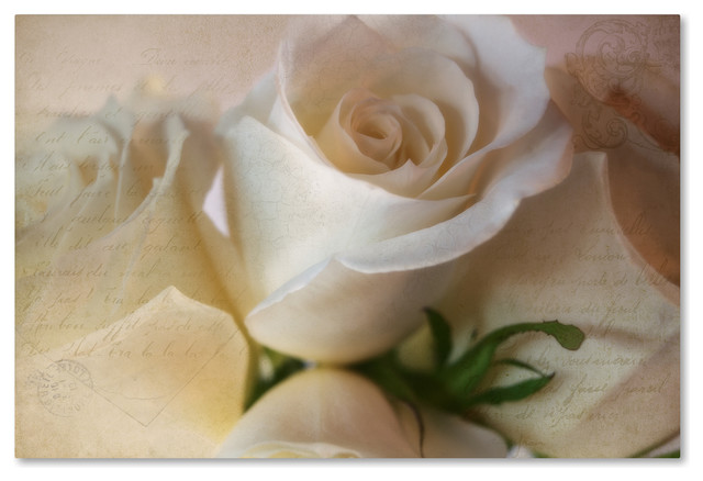 Bob Rouse 'Friends' Canvas Art, 16"x24" - Contemporary - Prints And ...