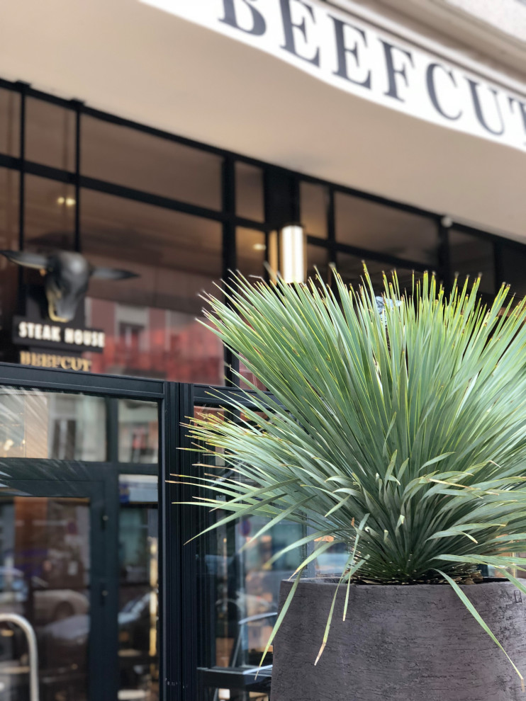 Terrasse du Restaurant Beefcut - Modern - Paris - by Place des Fleurs ...