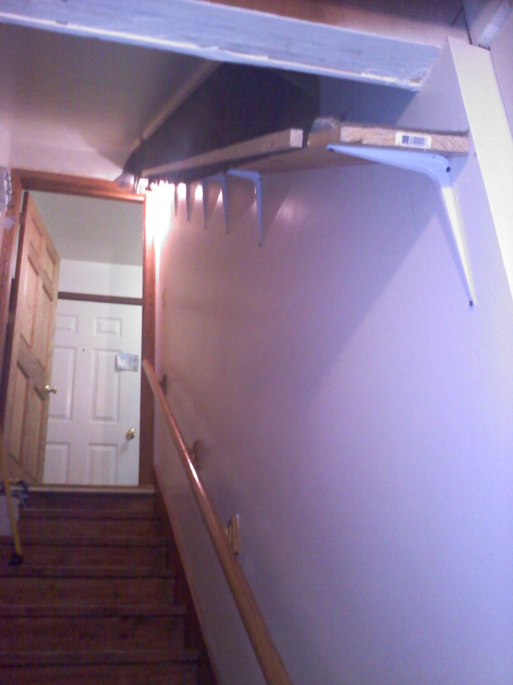 Incredible Home Catwalks Make for Purr-fectly Happy Felines