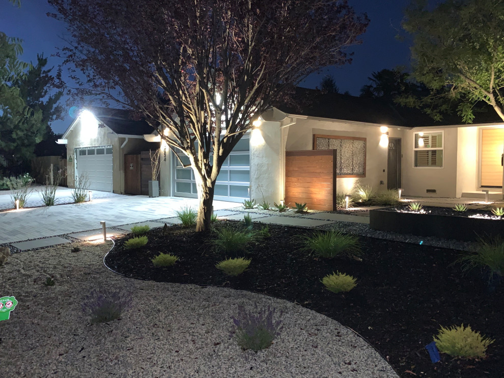 Low water front yard in San Jose - Contemporary - Landscape - San ...