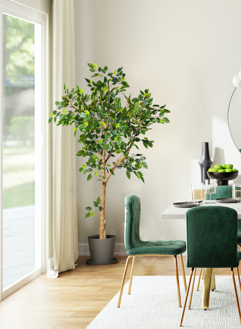 Serene Spaces Living Mini Ficus Tree, Real Looking Tree, 54" - Modern ...