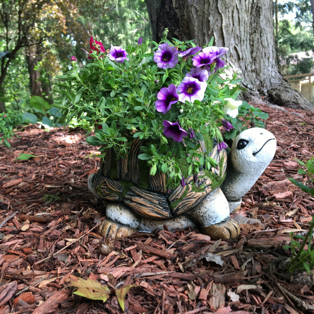 10" Turtle Flower Pot - Beach Style - Outdoor Pots And Planters - by ...