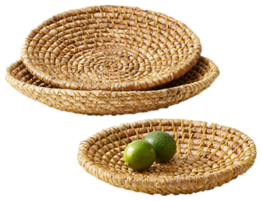 Serene Spaces Living Hyacinth Round Shallow Bowl, Sold as Set of 3 ...