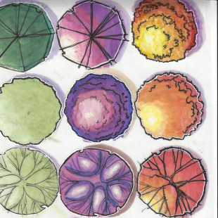 REDTAIL EDGE DESIGN - Project Photos & Reviews - Bellingham, WA US | Houzz