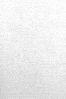 Egg Shell Plaster Texture Paintable Wallpaper, Sample - Contemporary ...