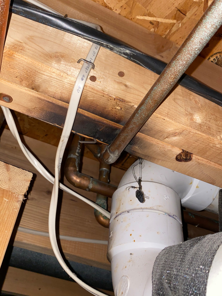 Black Soot In Toilet Tank at Winnie Norris blog