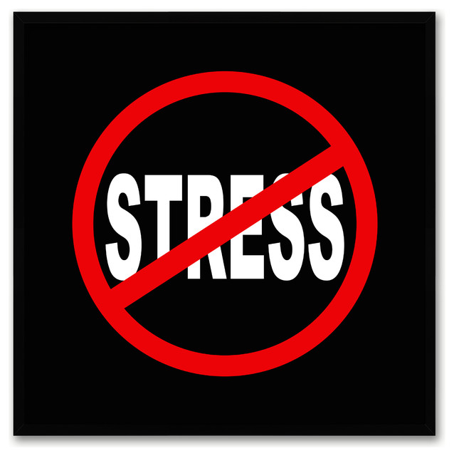 "No Stress" Sign Black Print on Canvas with Picture Frame, 15"x15 ...
