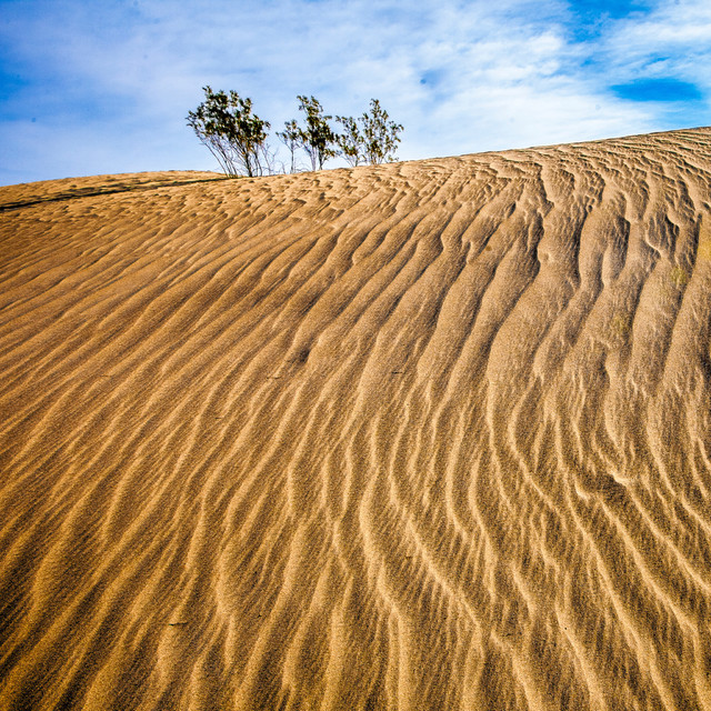 Sandscapes Designer Series No.30 - Contemporary - Photographs - Hawaii ...