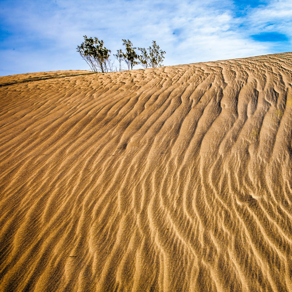 Sandscapes Designer Series No.30 - Contemporary - Photographs - Hawaii ...