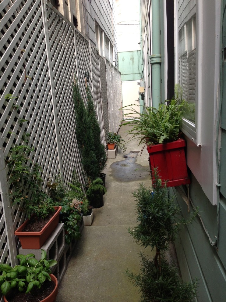 Ideas on what to do to this narrow walkway?