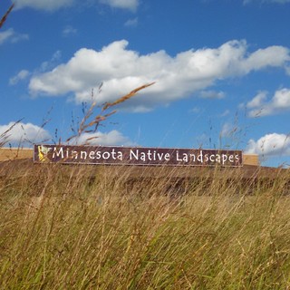 MINNESOTA NATIVE LANDSCAPES - Project Photos & Reviews - Otsego, MN US ...