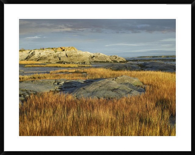 "Tidal marsh, Riviere-Trois-Pistoles, Quebec, Canada" by Tim Fitzharris ...