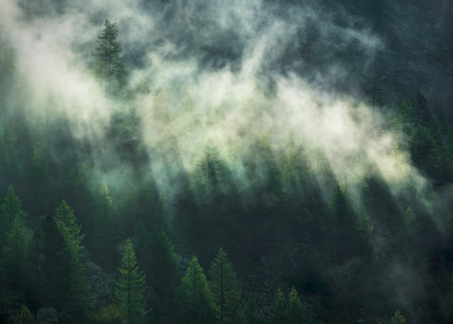 Misty Crowns Wall Mural - Rustic - Wallpaper - by Brewster Home ...