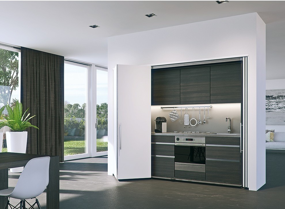 Pivoting Pocket Doors | Houzz AU