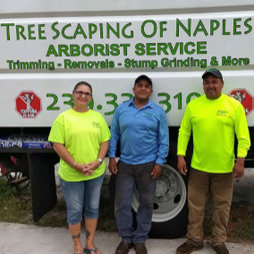 TREE SCAPING OF NAPLES - Project Photos & Reviews - Naples, FL US | Houzz