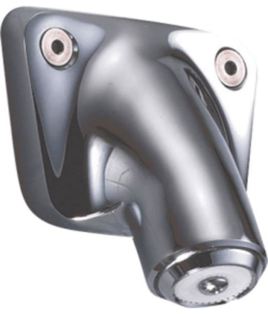 Commercial Shower Head, 30 Degree, Institutional (76262) - Contemporary ...