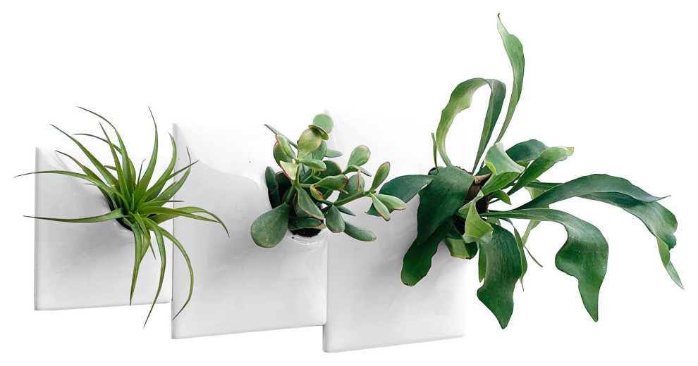 Modern Wall Decor Planter Set, Node Plant Wall, Ceramic - Contemporary ...