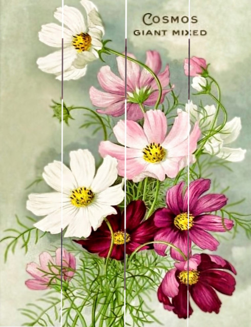 Cosmos Pallet Art - Contemporary - Prints And Posters - by Furniture ...