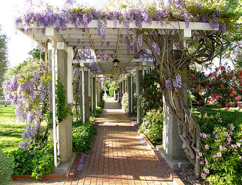 Front Porch with Arbor/Trellis | Houzz Forum